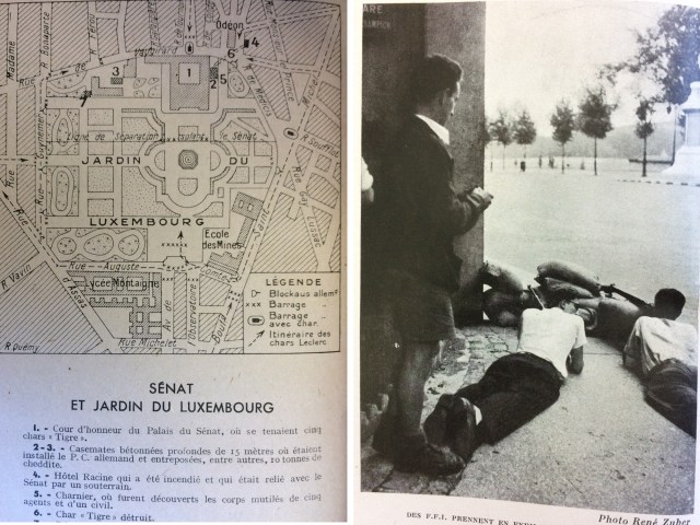 The Liberation Collection – some images – Languages across Borders