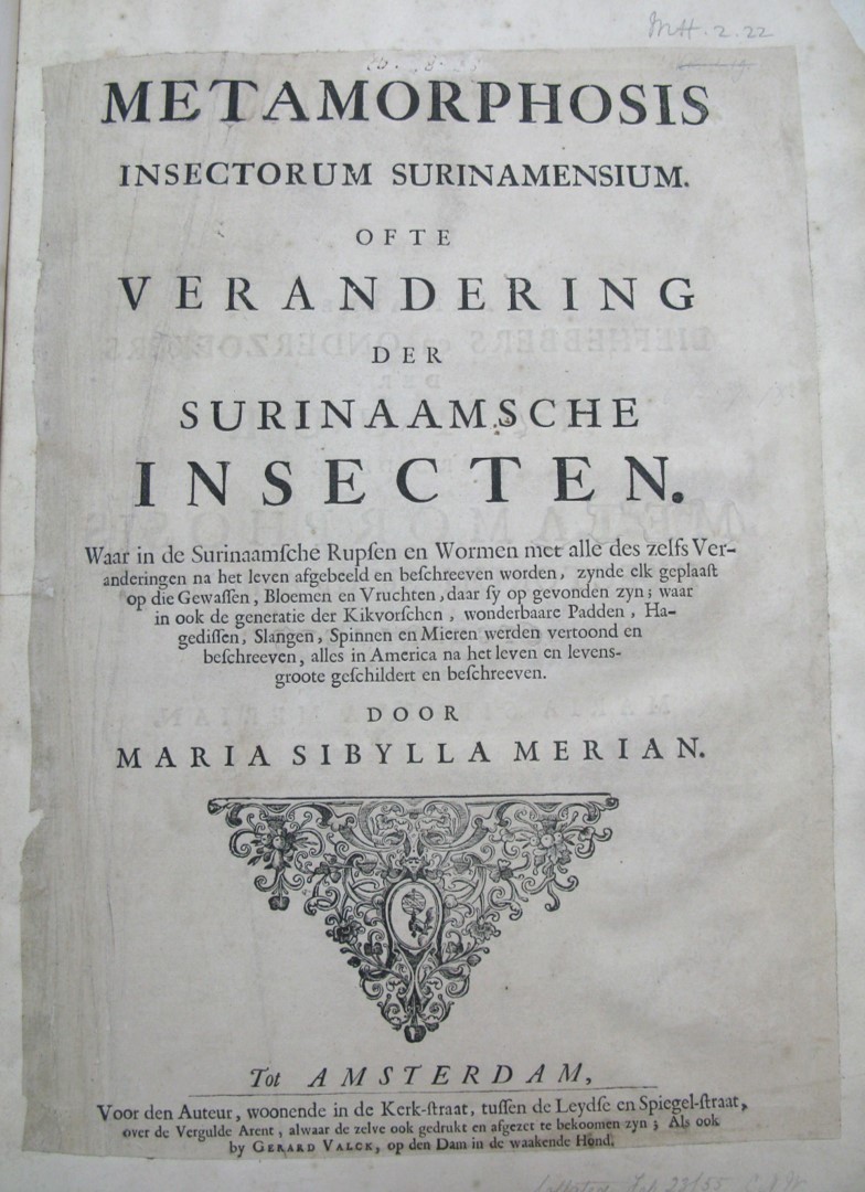 Maria Sibylla Merian – 300 – Languages across Borders
