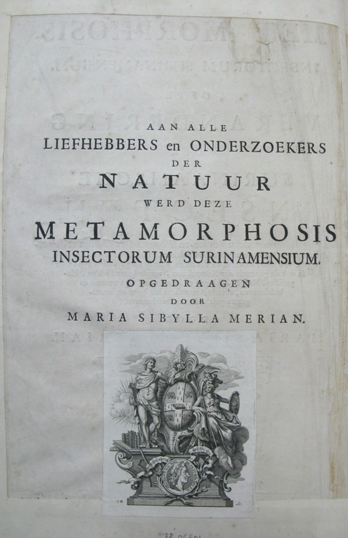 Maria Sibylla Merian – 300 – Languages across Borders