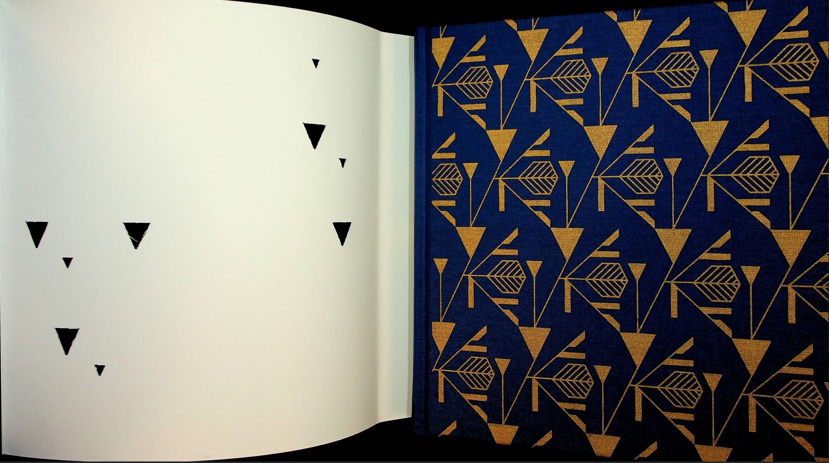 20240406_VaKr with open cover – Languages across Borders